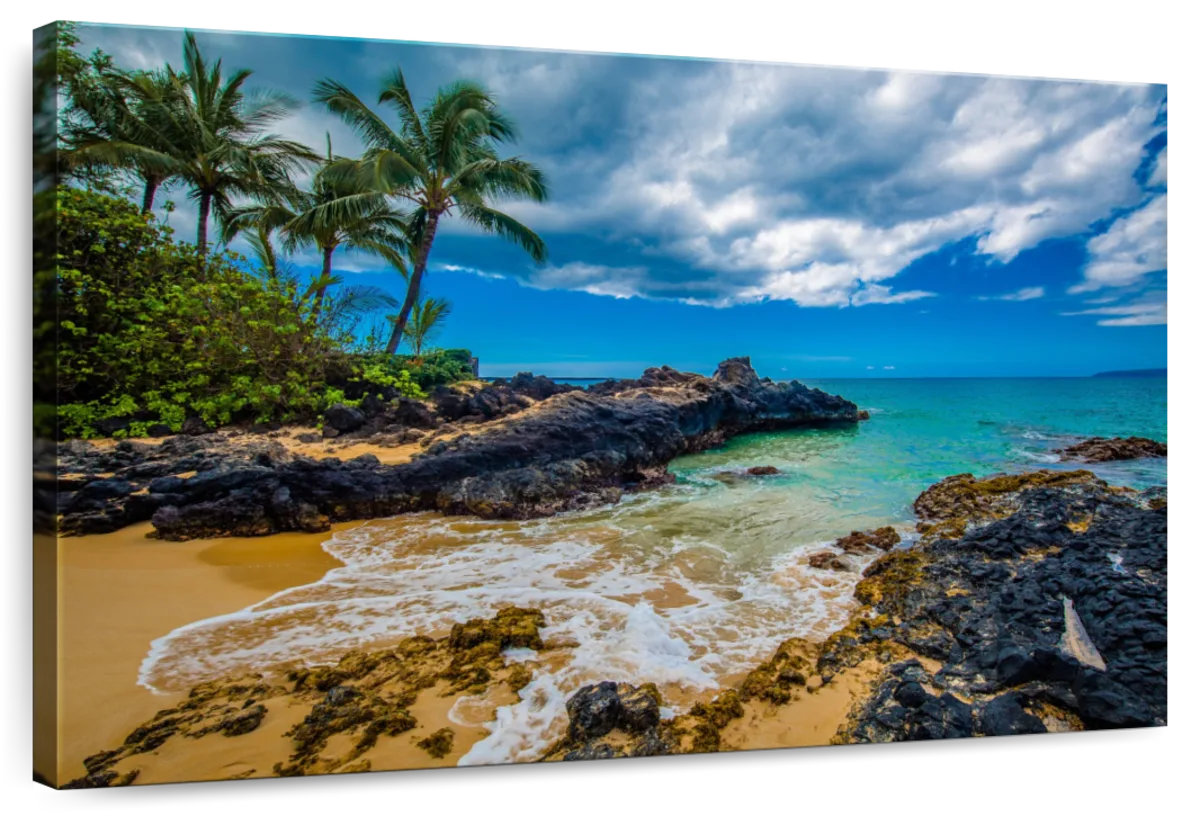 Beachcrest Home Gillard Secret Cove Beach Wayfair Canada