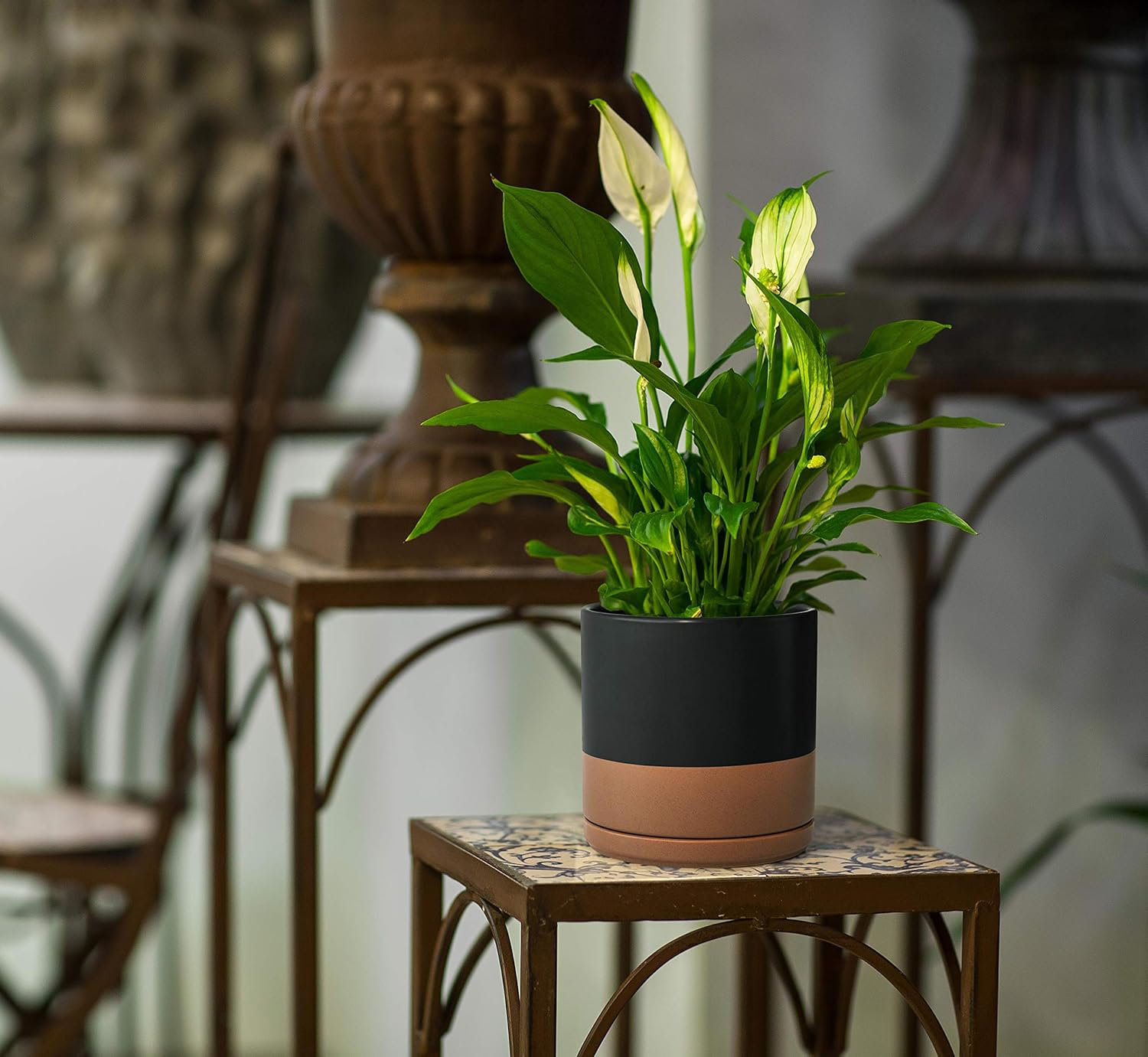Latitude Run® 10 Inch Ceramic Planter Pot with Drainage Hole and Saucer ...