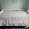 Red Barrel Studio® Sharo Solid Wood Daybed & Reviews | Wayfair