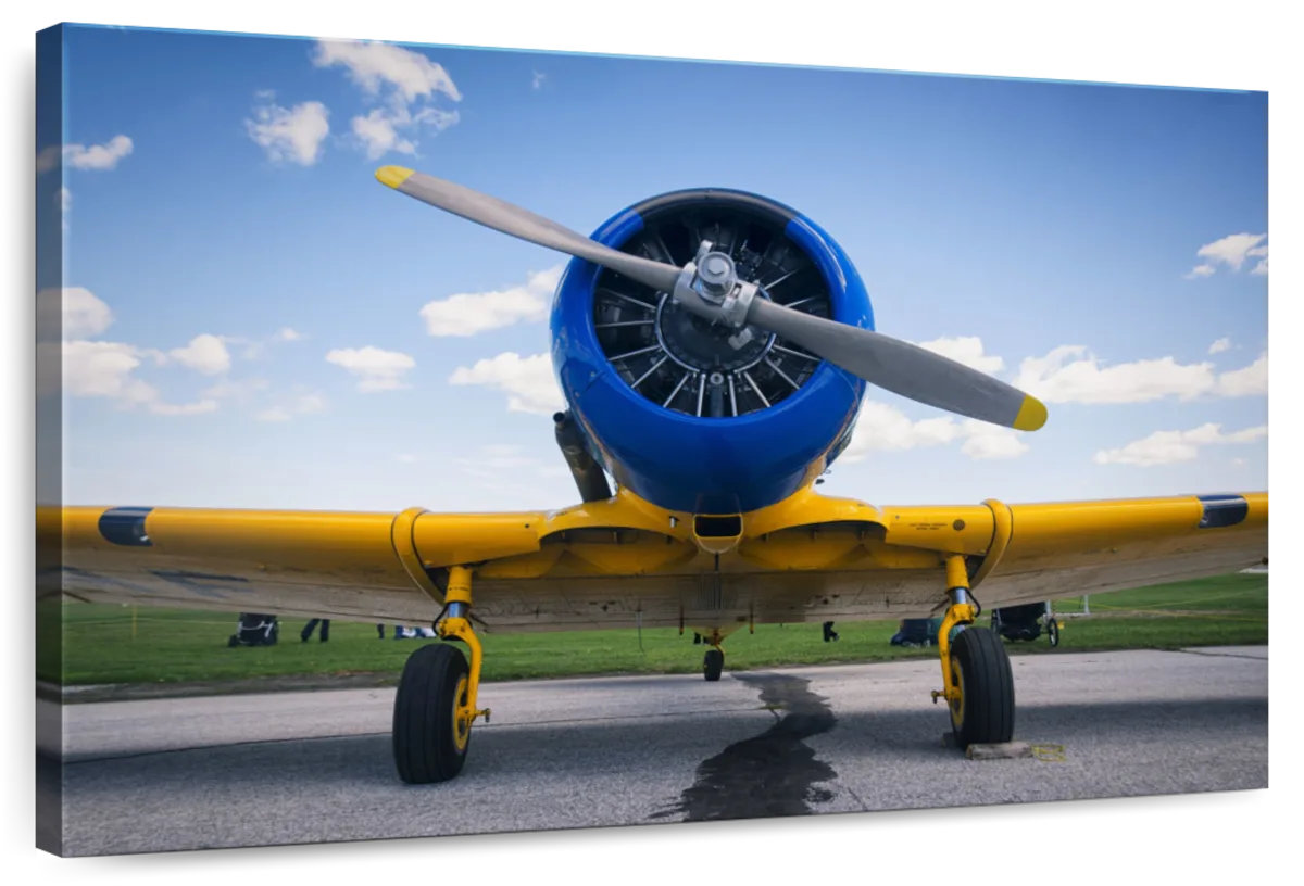 Ebern Designs Mehar Colorful Airplane | Wayfair