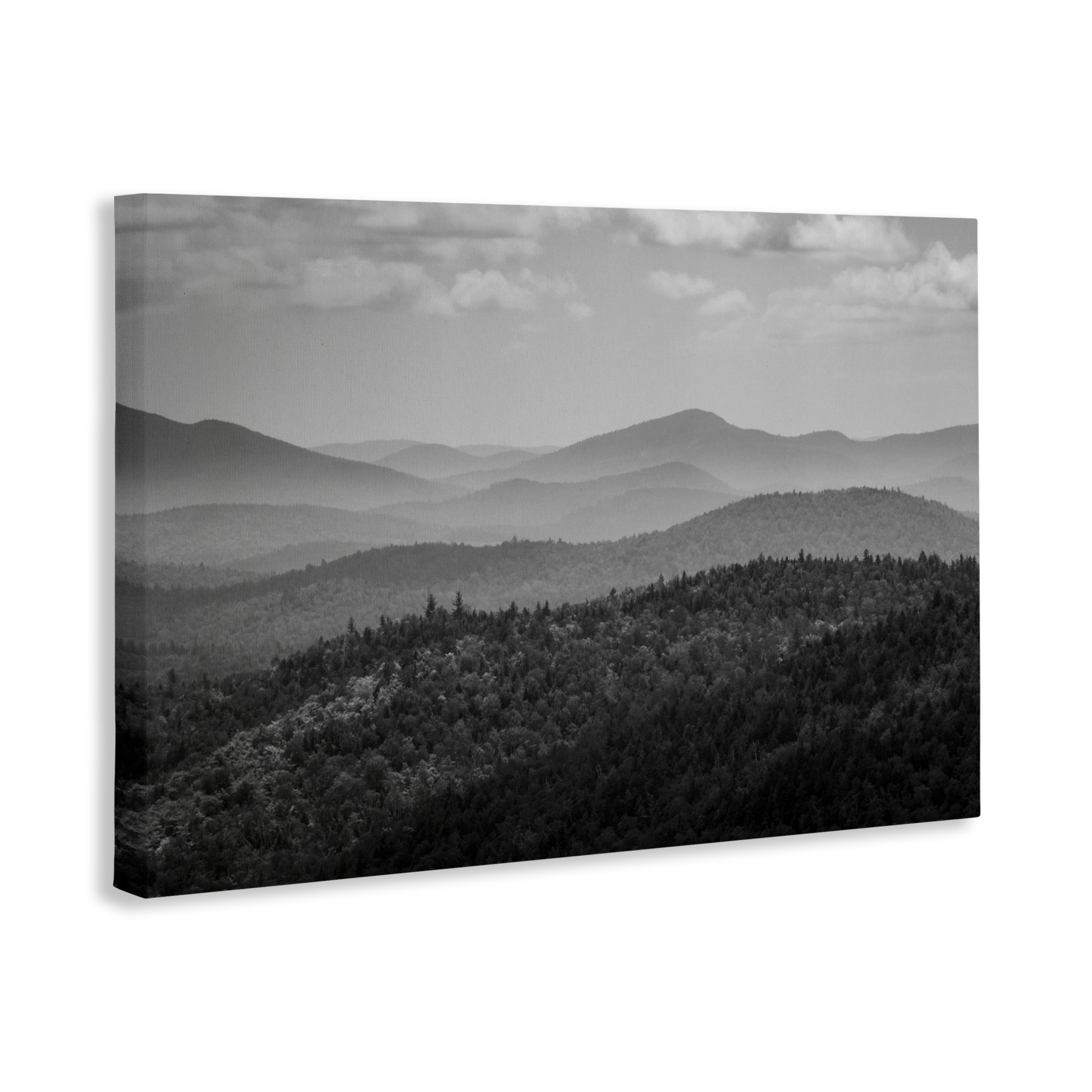 Union Rustic Misty Adirondack Mountains Canvas, design by James ...