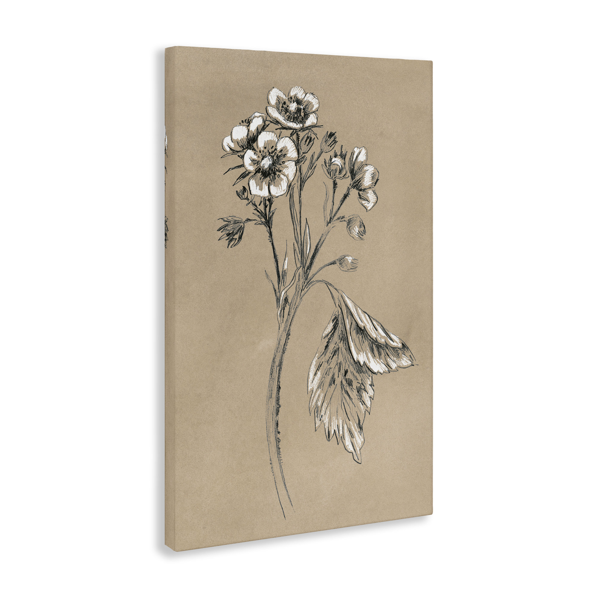 Winston Porter Flower Sprig Sketch Canvas Wall Art by June Erica Vess ...