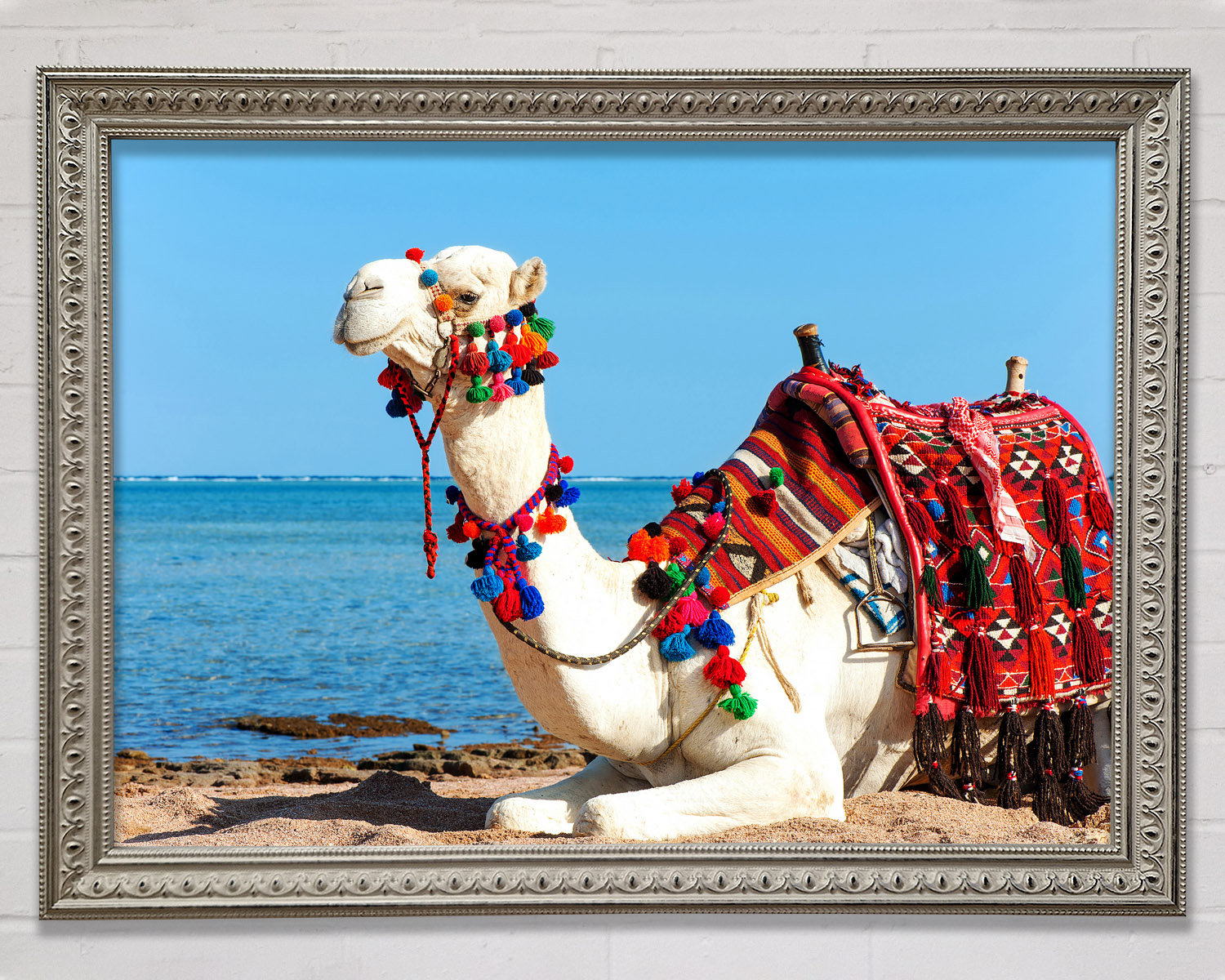 Latitude Vive Camel Ride - Single Picture Frame Art Prints | Wayfair.co.uk