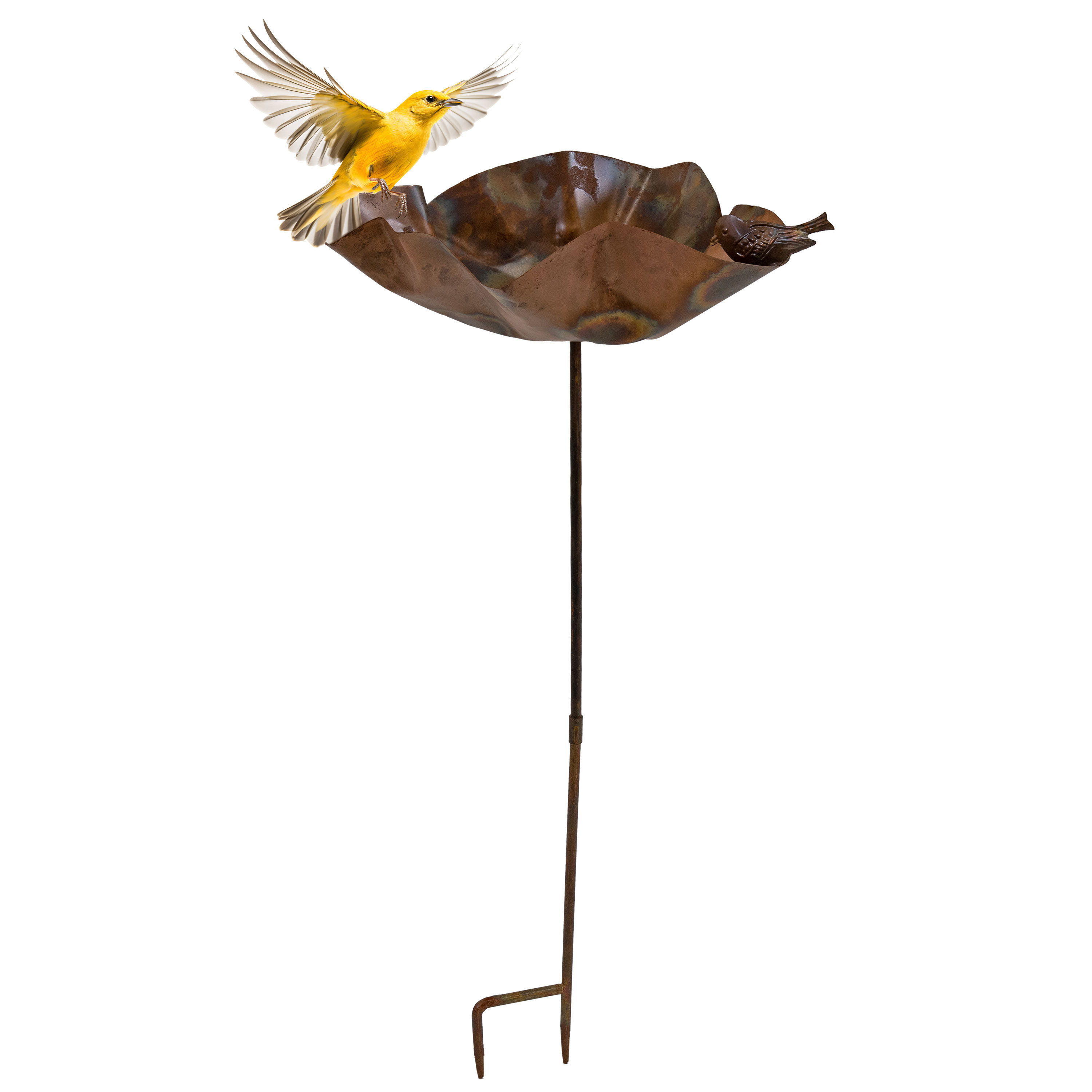 Winston Porter Standing Staked Metal Outdoor Bird Bath with Bird ...