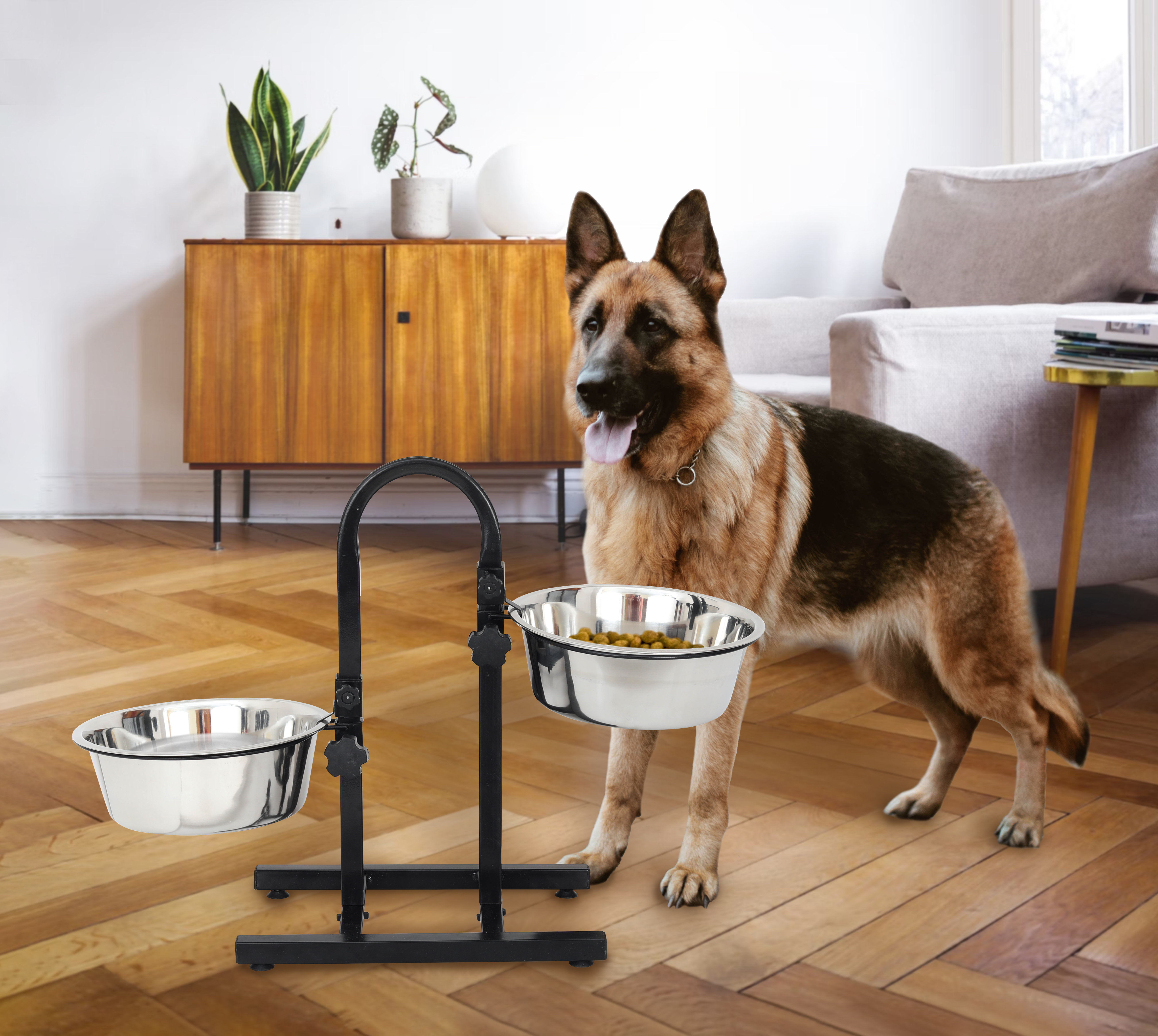 Tucker Murphy Pet™ Dinahlee Double Bowl Pet Diner & Reviews - Wayfair ...