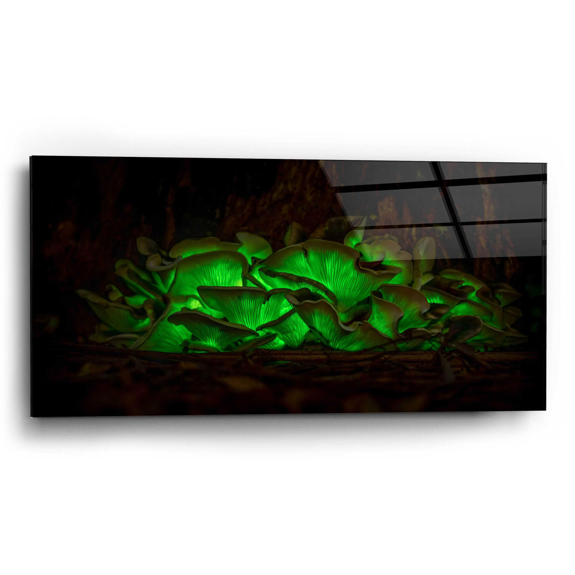 Wrought Studio™ 'Emerald Boom' By Epic Portfolio Acrylic Glass Wall Art ...