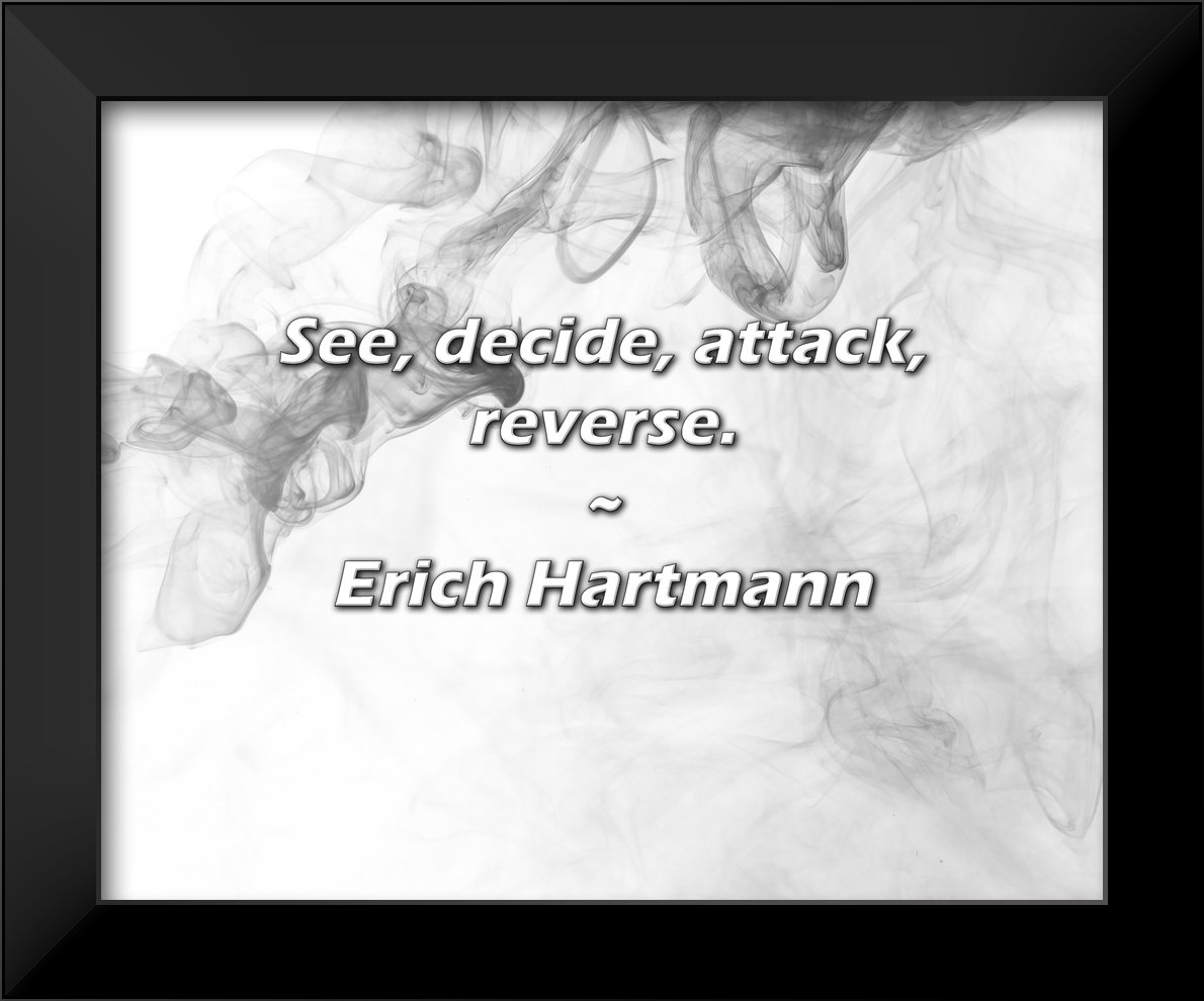 Trinx Erich Hartmann Quote: See, decide, attack, reverse. | Wayfair