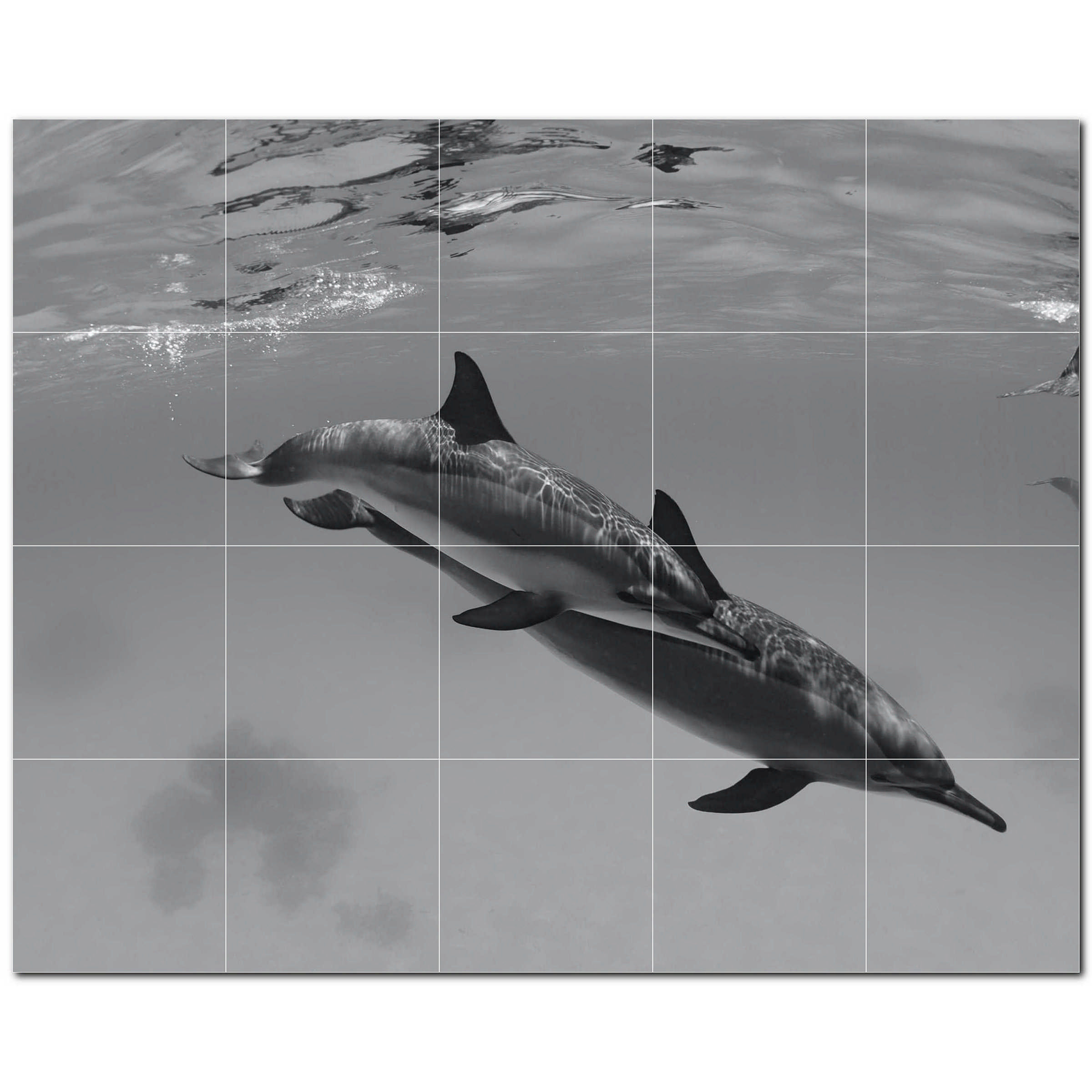Picture-Tiles.com 17" x 25.5" Ceramic Dolphin Photo Decorative Mural ...