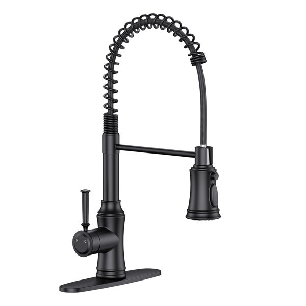 AMIBZ Faucet With Pull Down Sprayer, Single Handle Spring Faucets For ...