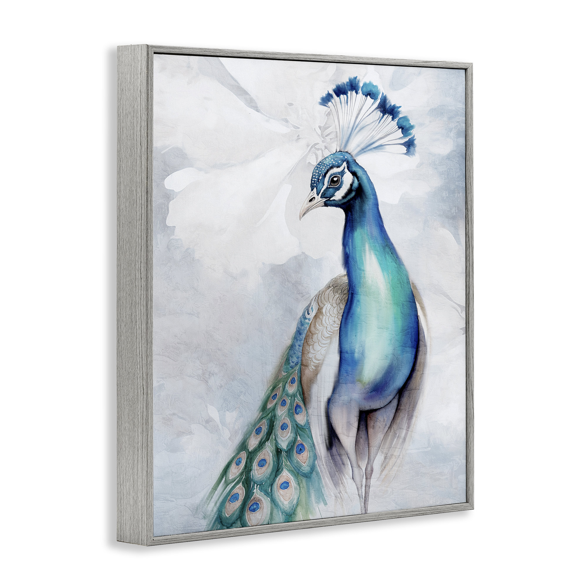 Winston Porter Soft Elegant Peacock Portrait Framed Giclee Art by Kim ...