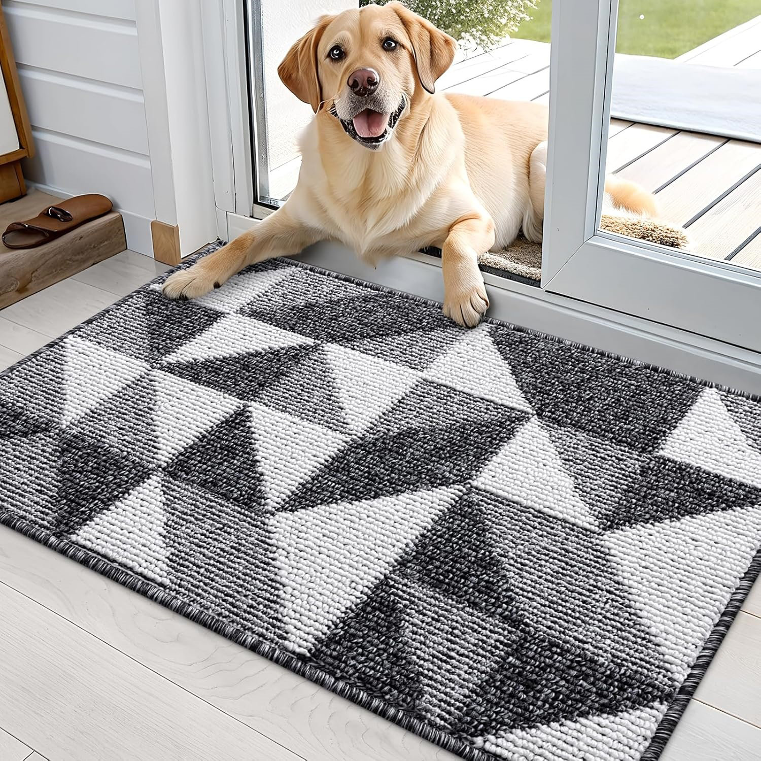 George Oliver Door Mat Indoor Entrance Washable 36X24,Odor-Free Low ...