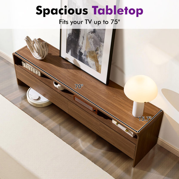 Willa Arlo™ Interiors Dulane 70'' Modern TV Stand with Open Shelf&Large ...