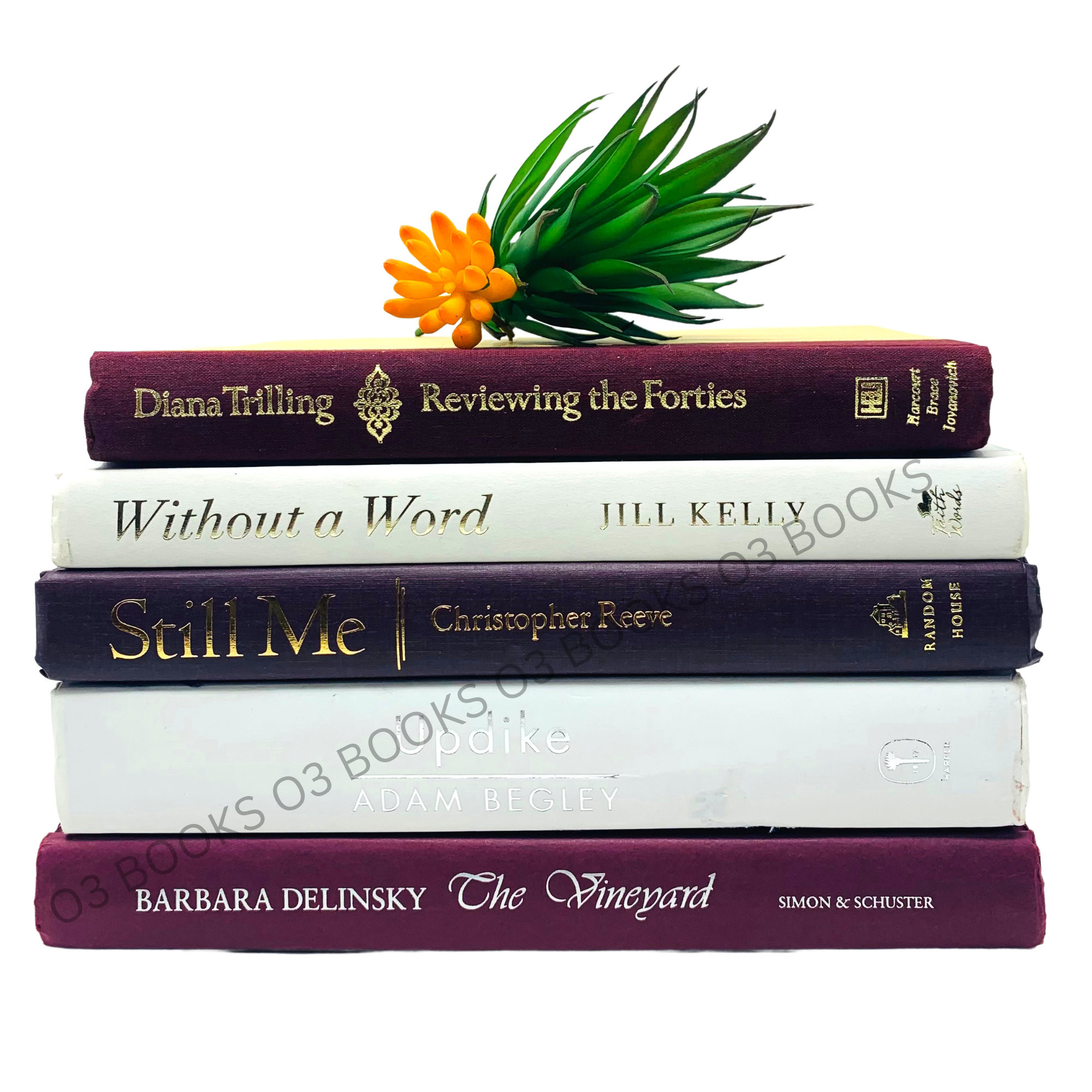 Red Barrel Studio® Frieslander Burgundy White Decorative Books | Wayfair