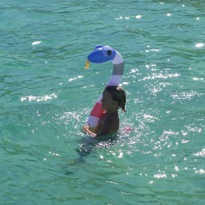 Sunnylife: Kids Inflatable Noodles - Into The Wild - 2 Pack, Snake ...