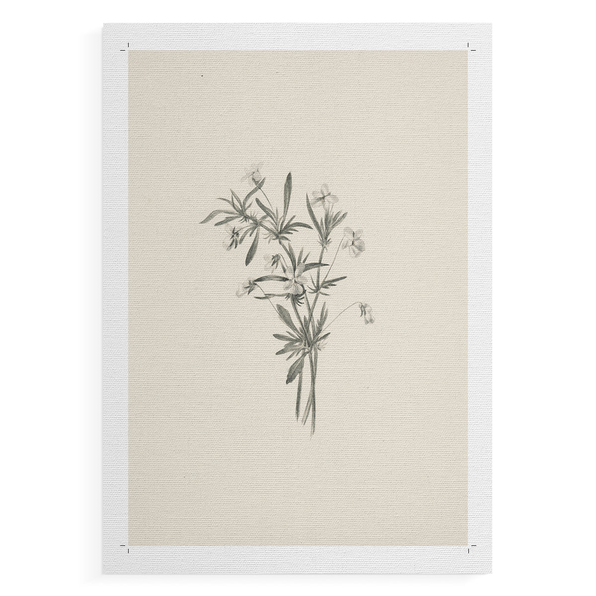 Charlton Home® Vintage Floral Print CCVII -Canvas Print Only - NOT ...