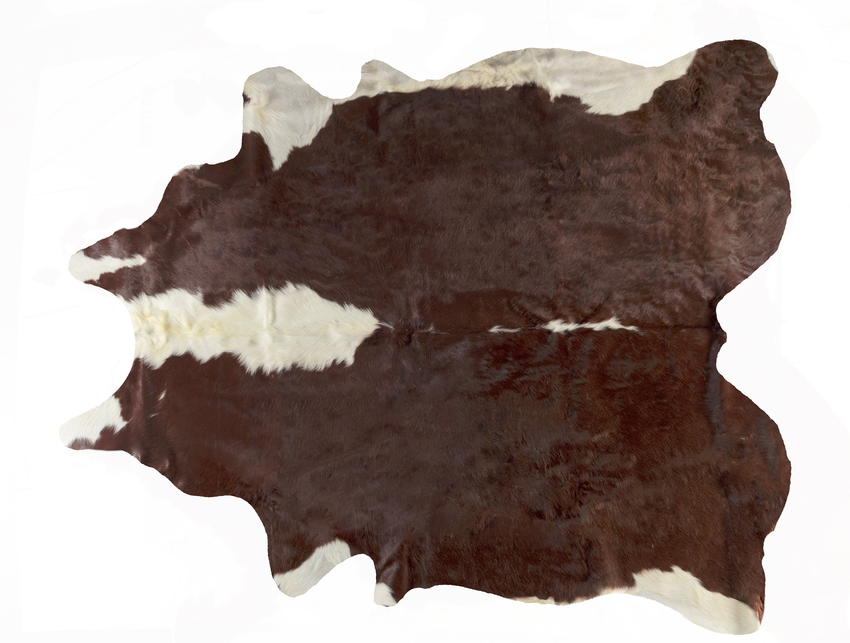 17 Stories Dante Handmade Cowhide Brown Area Rug & Reviews | Wayfair