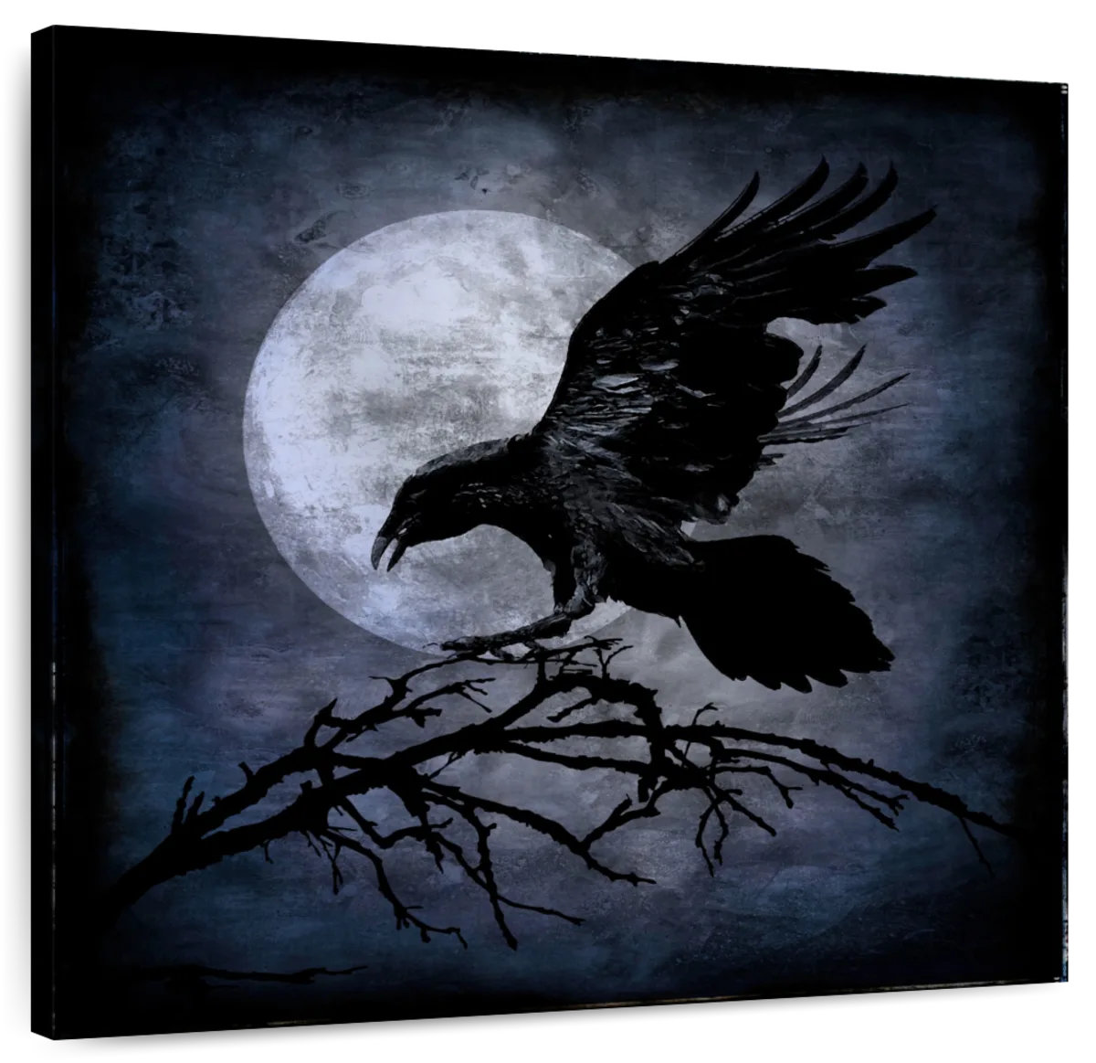 Trinx Kelan Moonlight Crow | Wayfair