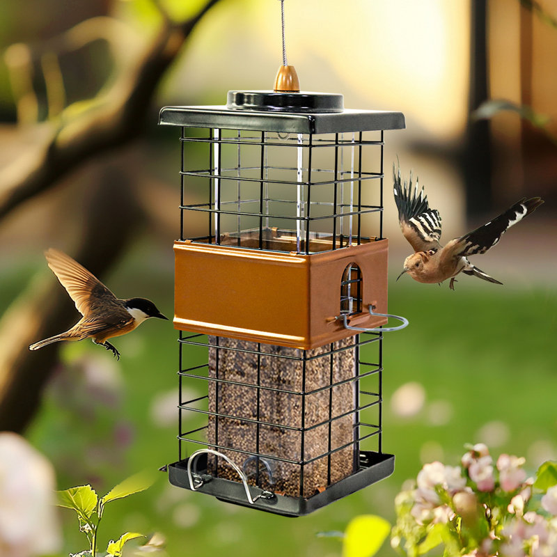 Arlmont & Co. Metal Squirrel Proof Bird Feeder For Outdoors Hanging ...