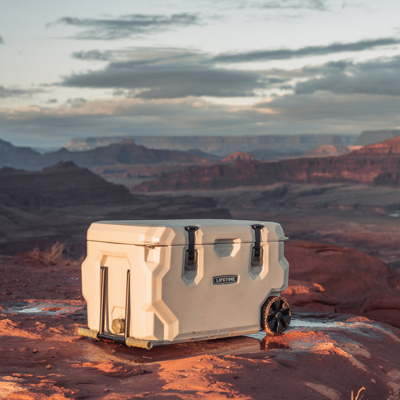 Lifetime 65 Qt. Ice Chest Cooler & Reviews | Wayfair