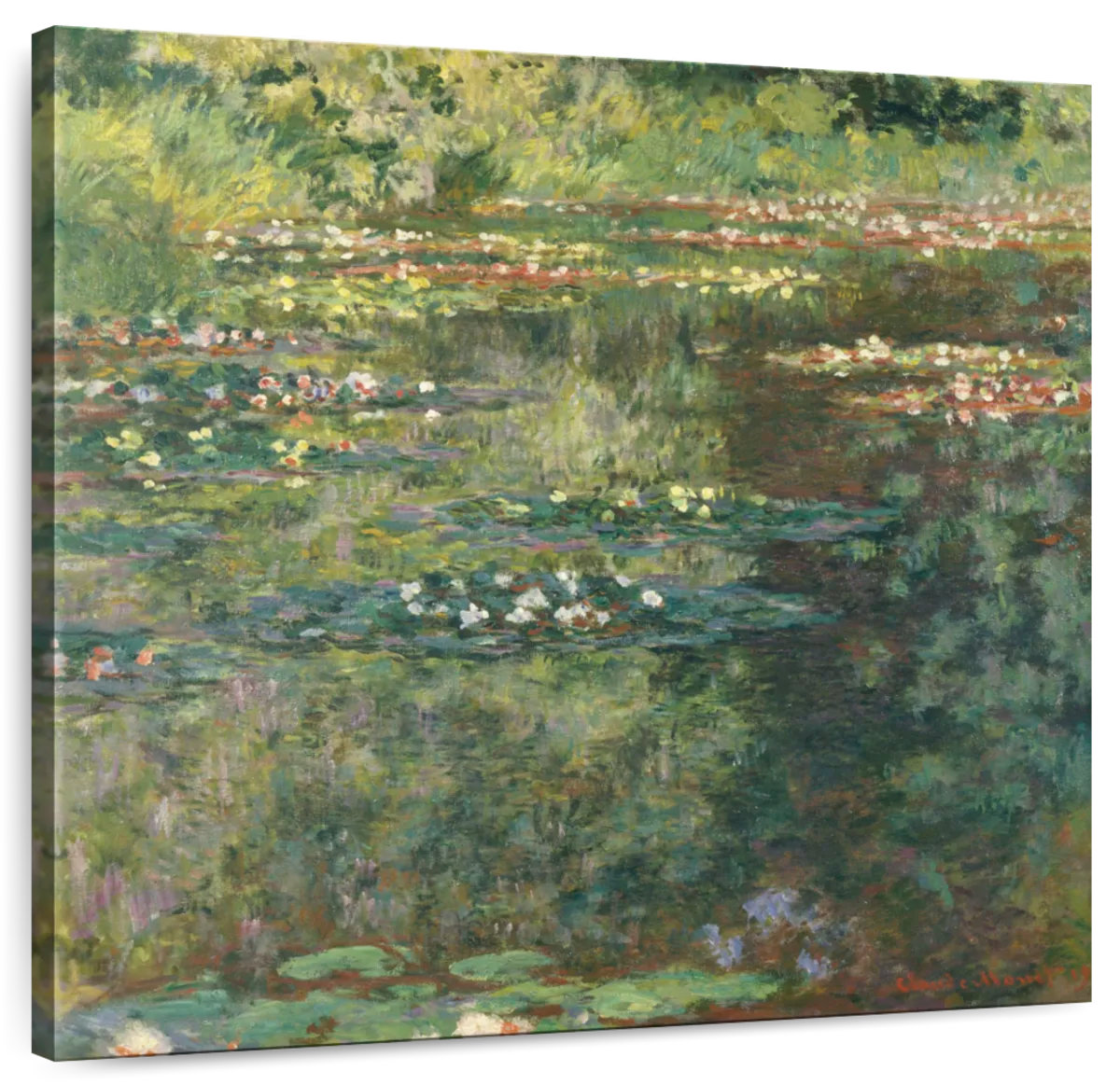 Millwood Pines Alvord Waterlily Pond 1904 | Wayfair