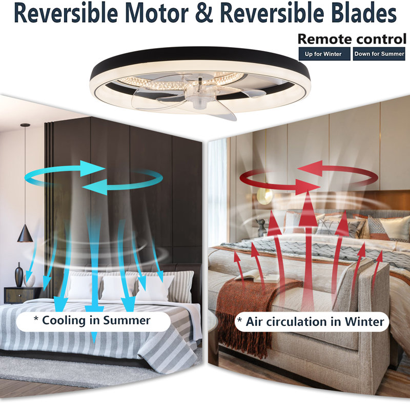 Wrought Studio™ Demaline 20'' Dimmable Ceiling Fan with LED Lights ...