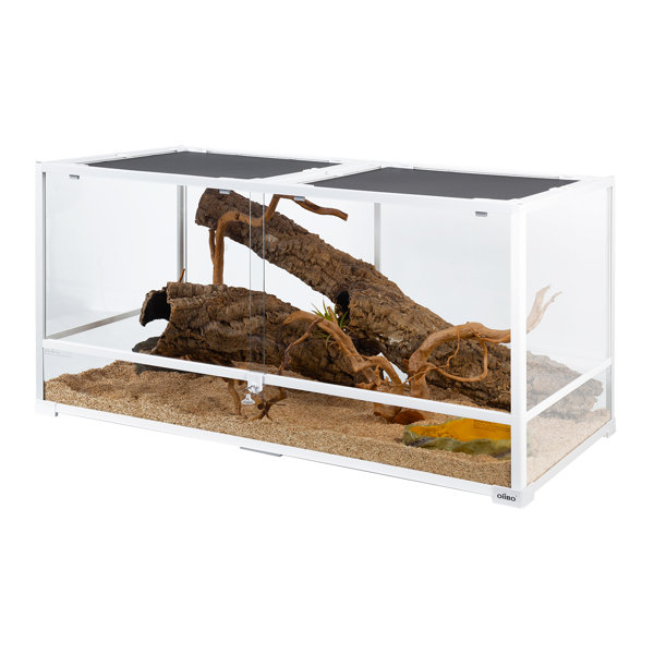 OiiBO 48'' x 24'' x 24'' Reptile Terrarium | Wayfair