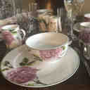 Spode Botanic Garden Terrace Roses 16 Piece Dinnerware Set, Service for ...