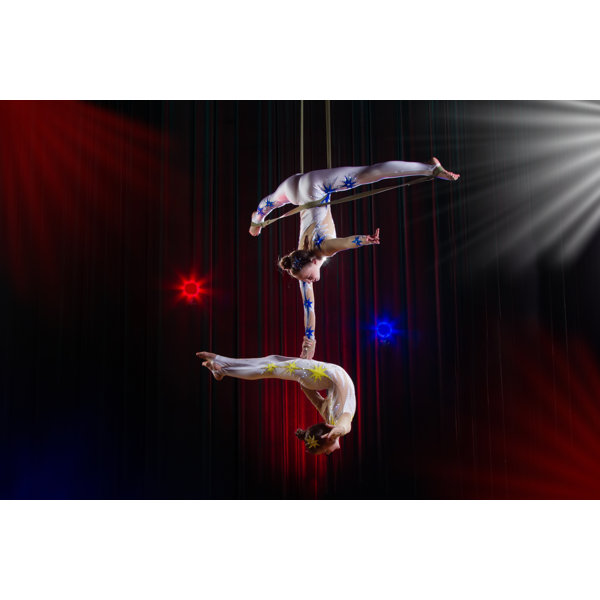 Ebern Designs Acrobat Performance On Canvas by Creativica Print | Wayfair