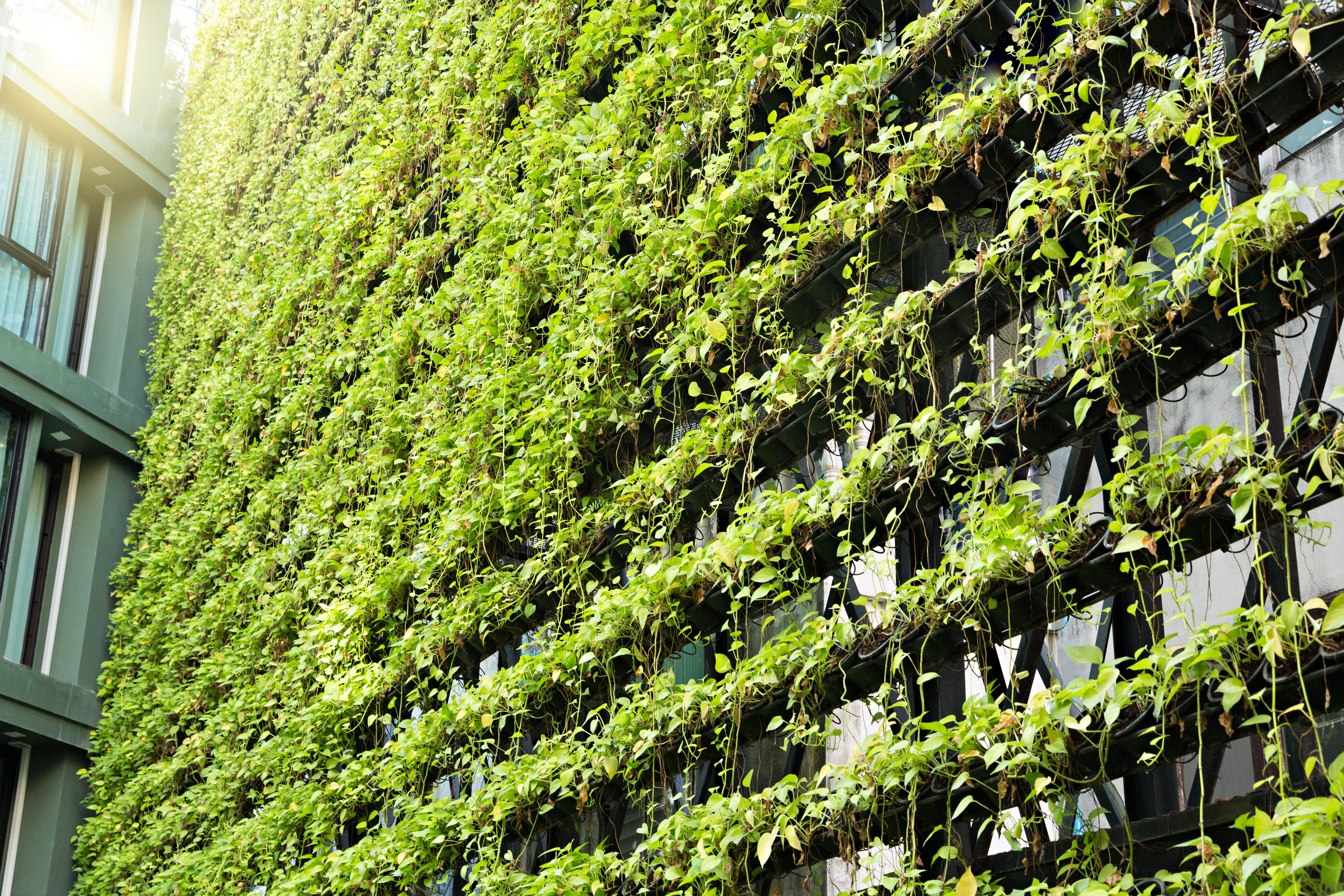 Ebern Designs Green Wall - Vertical Garden - Biowall by Fredfroese ...