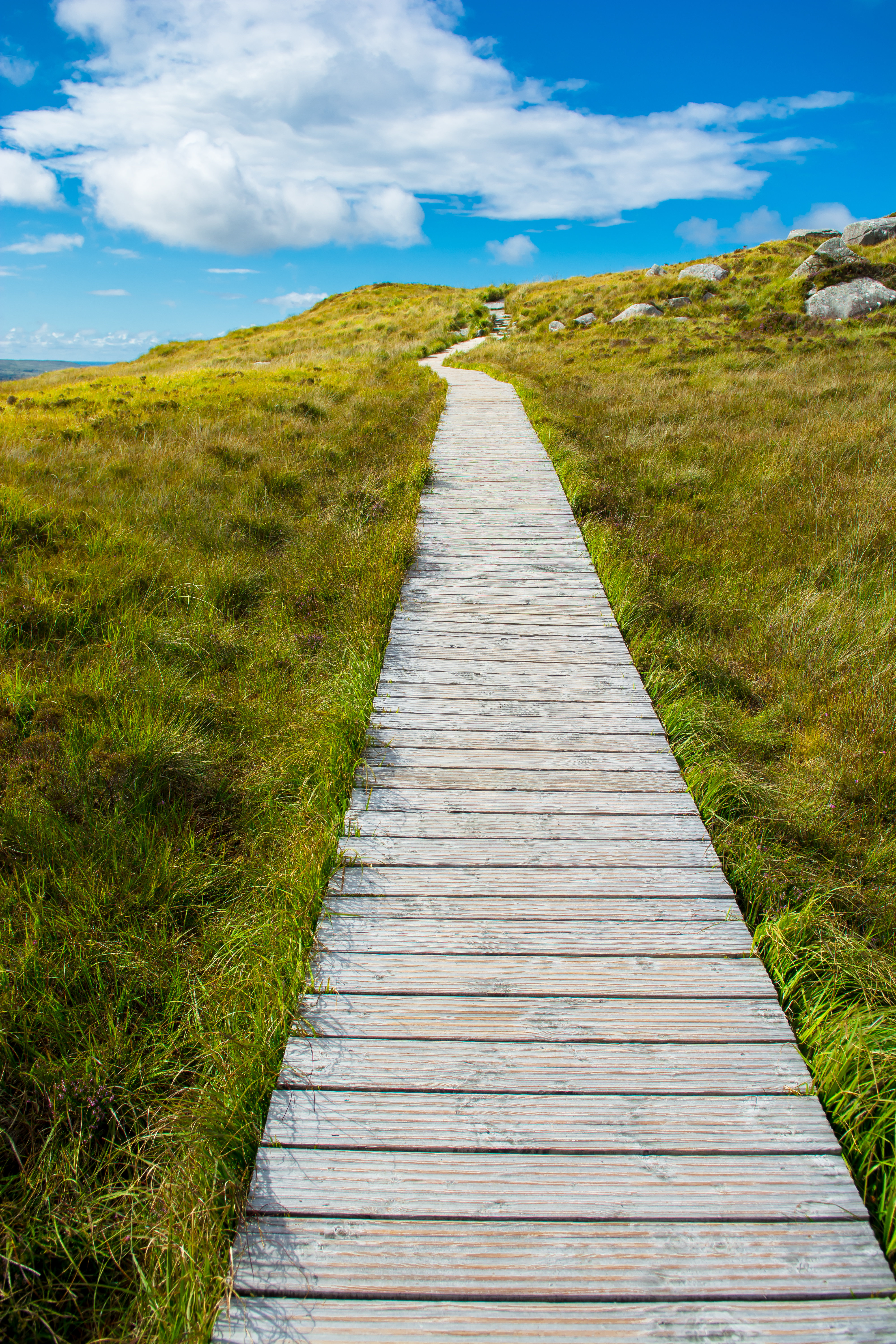 Highland Dunes Narrow Track - Wrapped Canvas Print | Wayfair