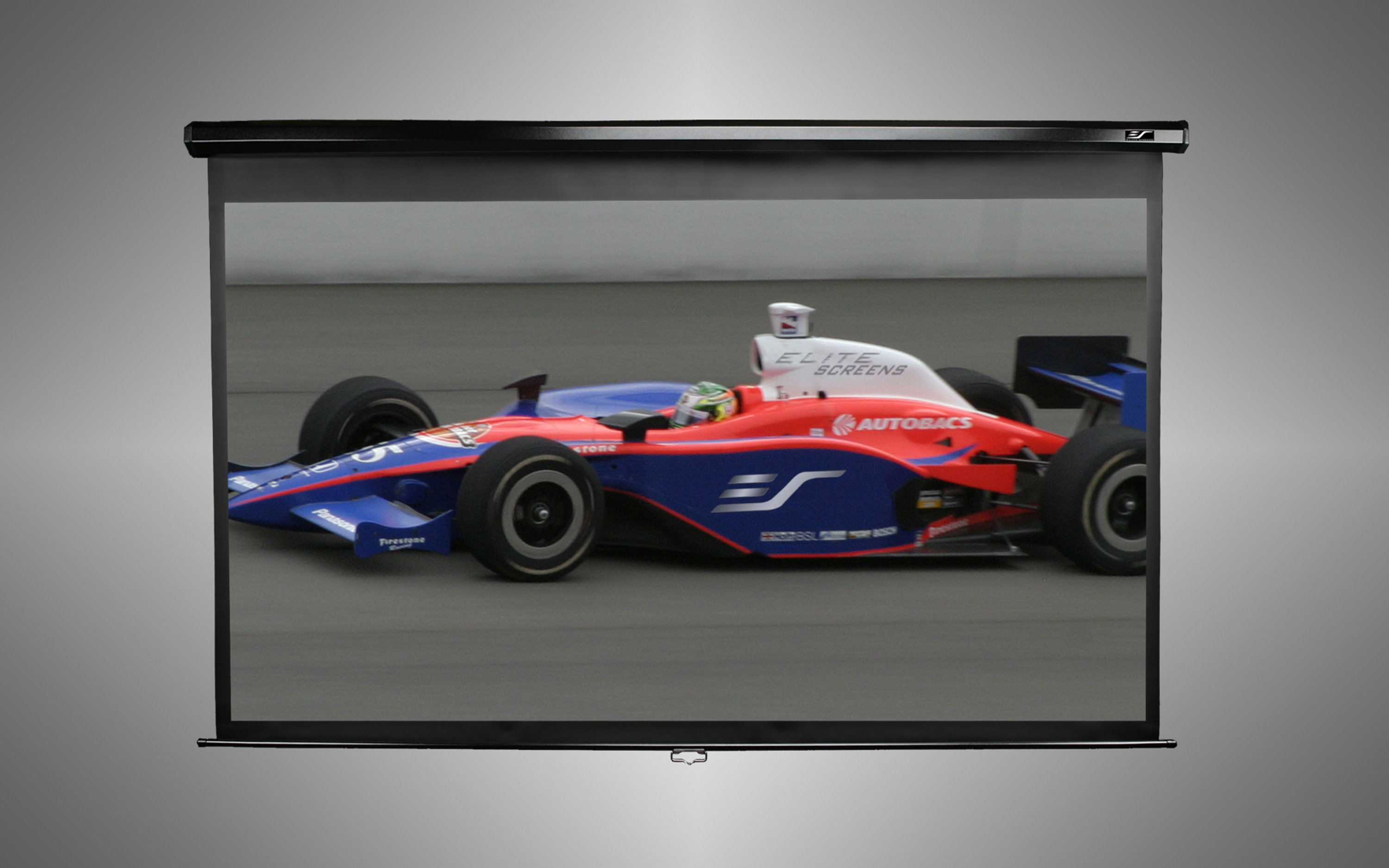 Elite Screens Manual Projector Screen Projector Screen | Wayfair