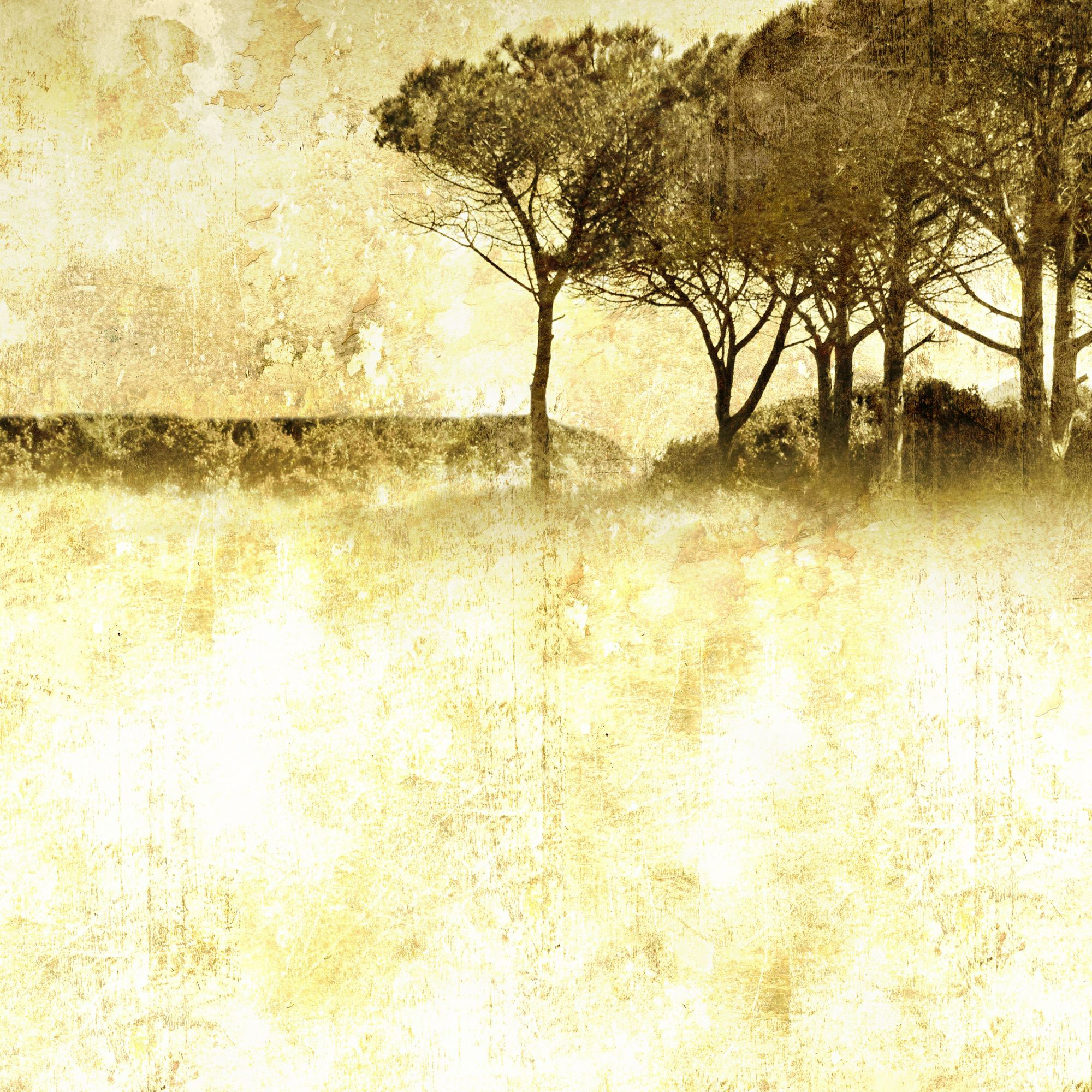 Winston Porter Vintage Background with Trees by Imagorb - Wrapped ...