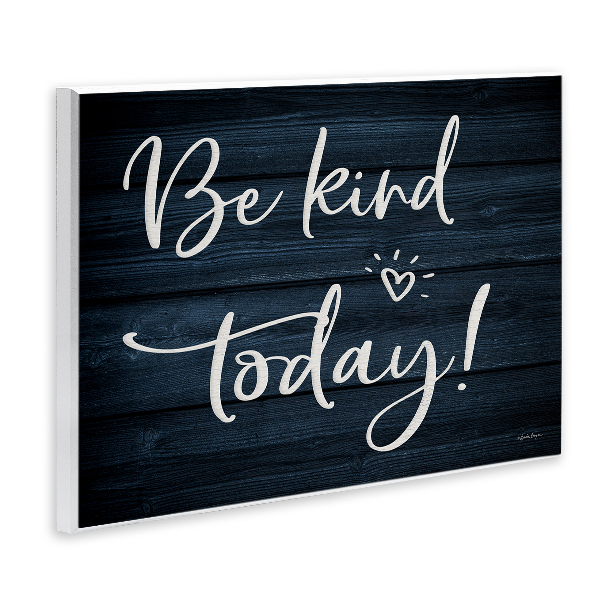 Ophelia & Co. Be Kind Today Wall Plaque Art by Susie Boyer - Wayfair Canada