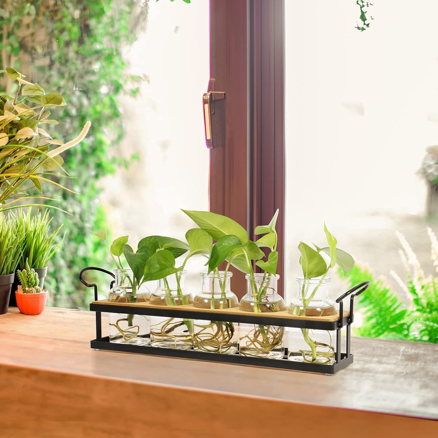 AGROTECH AVS Plant Propagation Stations with Metal Stand, Tabletop ...