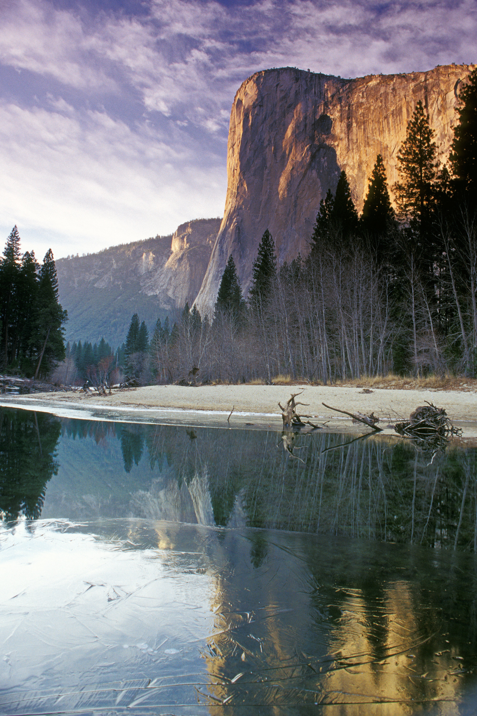 Millwood Pines Yosemite El Capitan Mountain par S. Greg Panosian ...