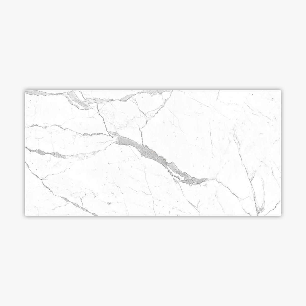 Direct Stone Source Calacatta 24" x 48" Porcelain Marble Look Singular ...