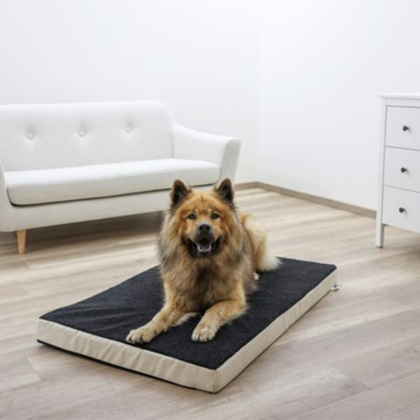 Archie & Oscar Hundematte Snell | Wayfair.de