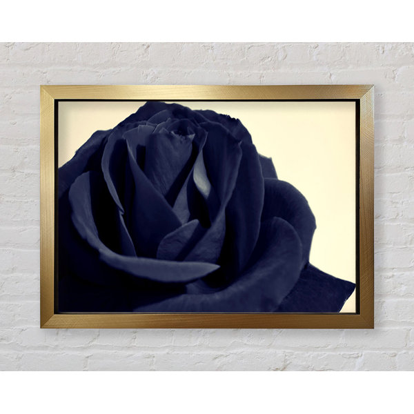 Bright Star Black Blue Rose - Single Picture Frame Print | Wayfair.co.uk