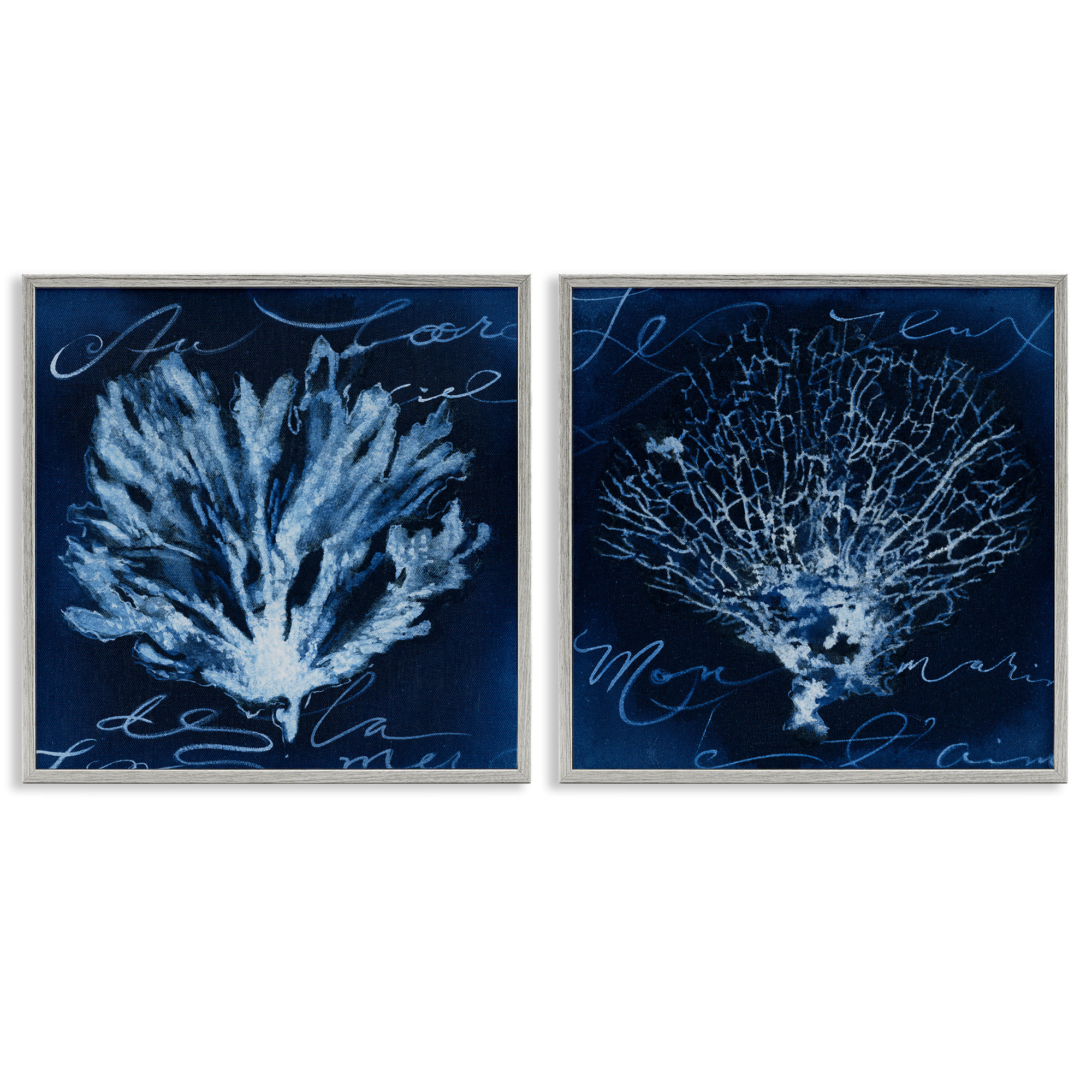 Dovecove Dark Blue Coral Pieces 2 PC Giclee Art Set by Liz Jardine ...