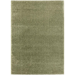 Green Area Rugs | Wayfair