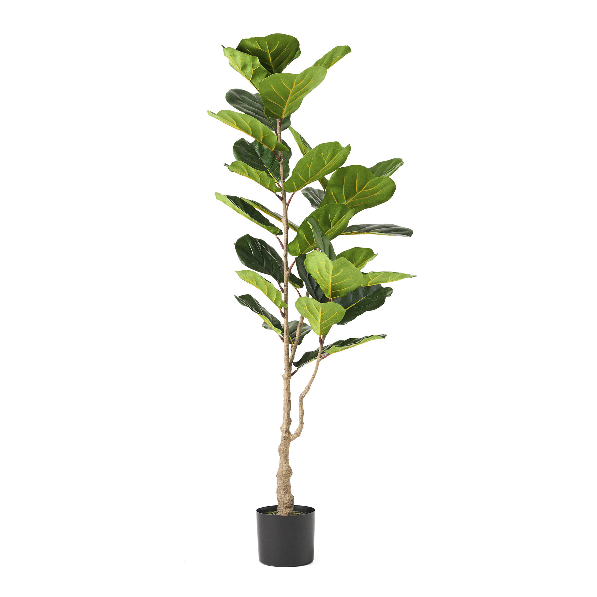 Latitude Run® 150Cm Artificial Fiddle Leaf Fig Tree - For Easy ...