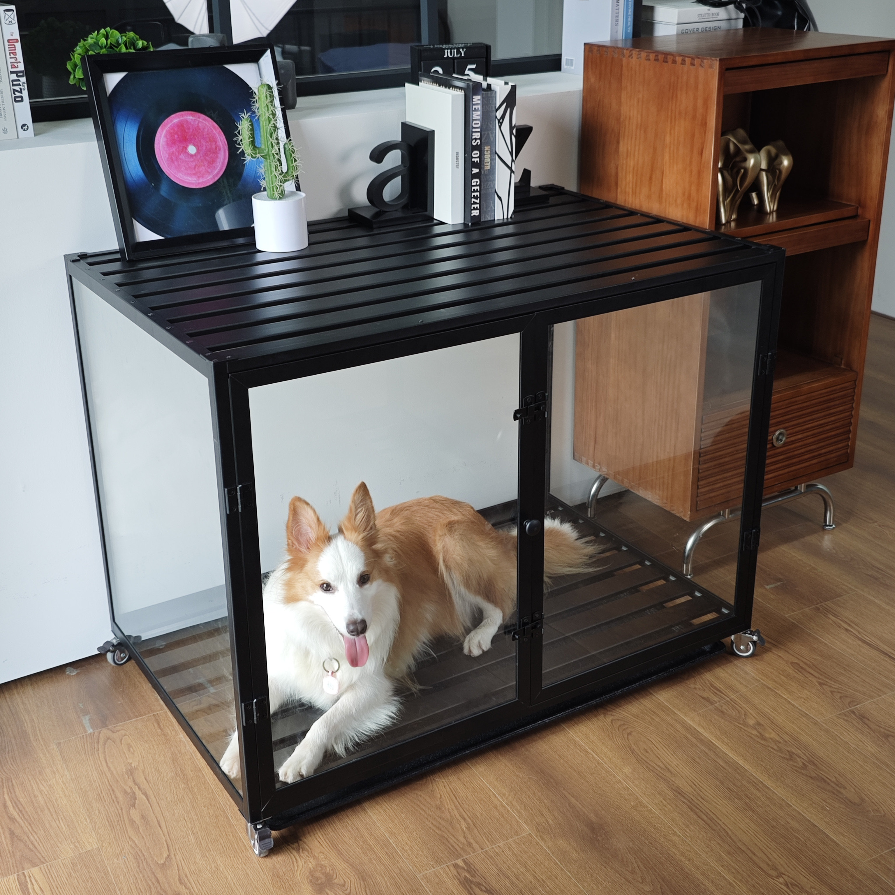 Tucker Murphy Pet™ Innovated Transparent Tempered Glass Dog Cage Crate ...