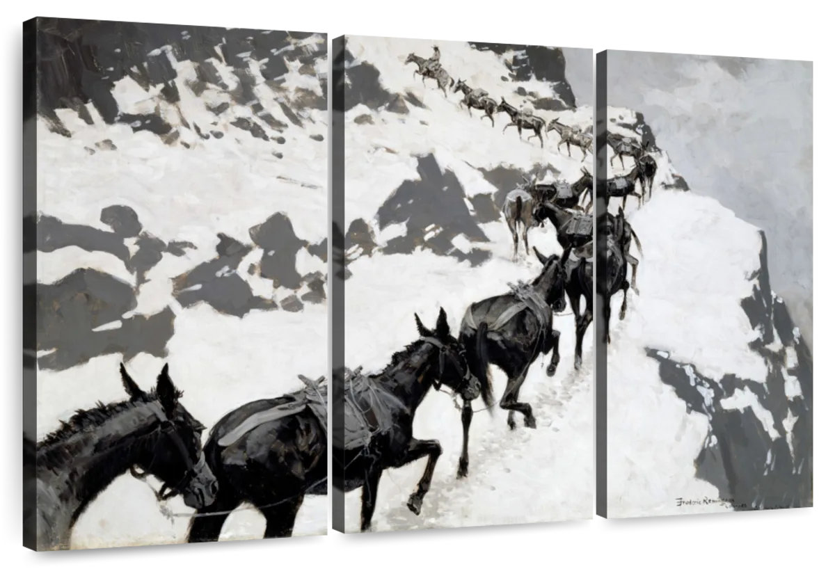 Rosalind Wheeler The Mule Pack | Wayfair