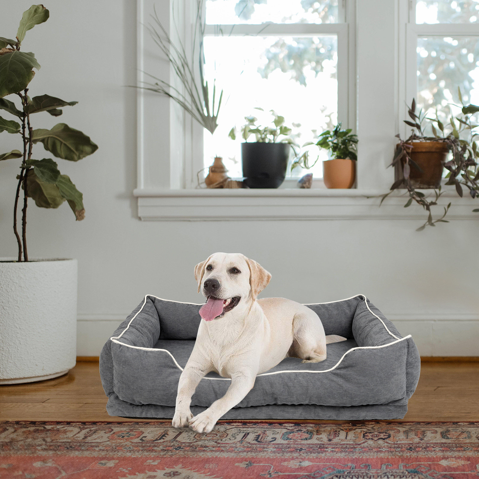 Tucker Murphy Pet™ Aafrin Bostler Dog Bed & Reviews | Wayfair