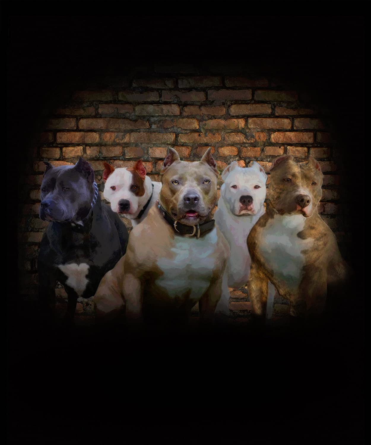 NY Textile Haus Pit Bull Plush Blanket | Wayfair