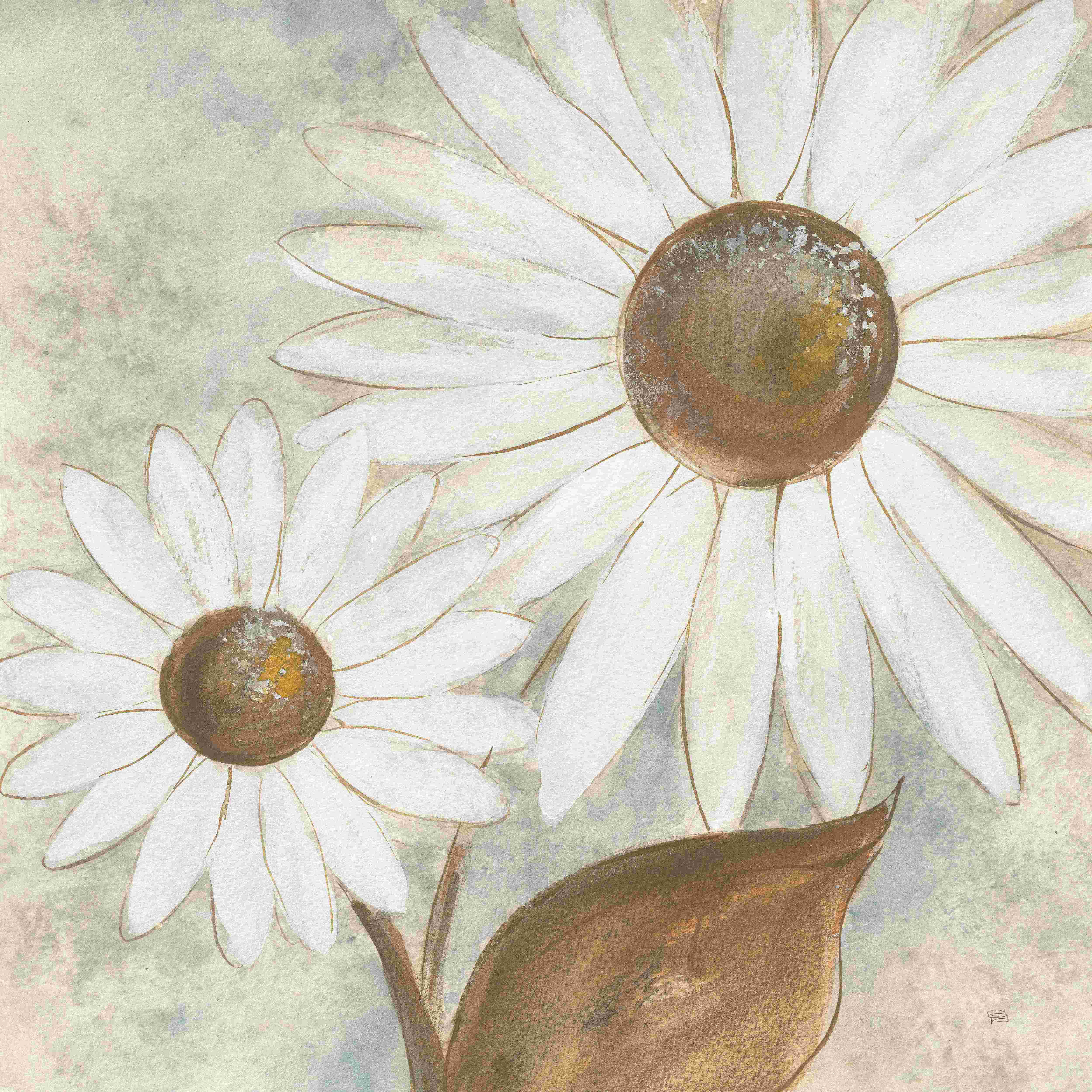 Winston Porter Daisy Do III Neutral by Chris Paschke - Wrapped Canvas ...