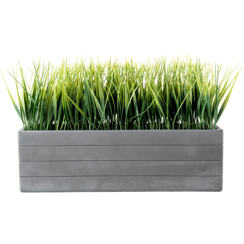 Primrue Artificial Fake Grass Plants In Cement Planter Box | Wayfair