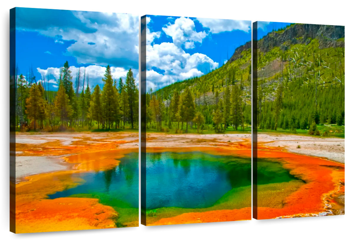 Elephant Stock Cerulean Geyser In Yellowstone | Wayfair