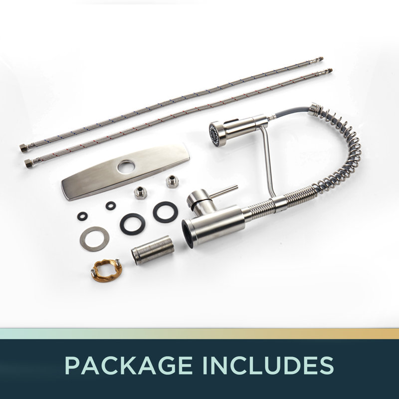 FORIOUS Pull Out Kitchen Faucet with Accessories & Reviews | Wayfair