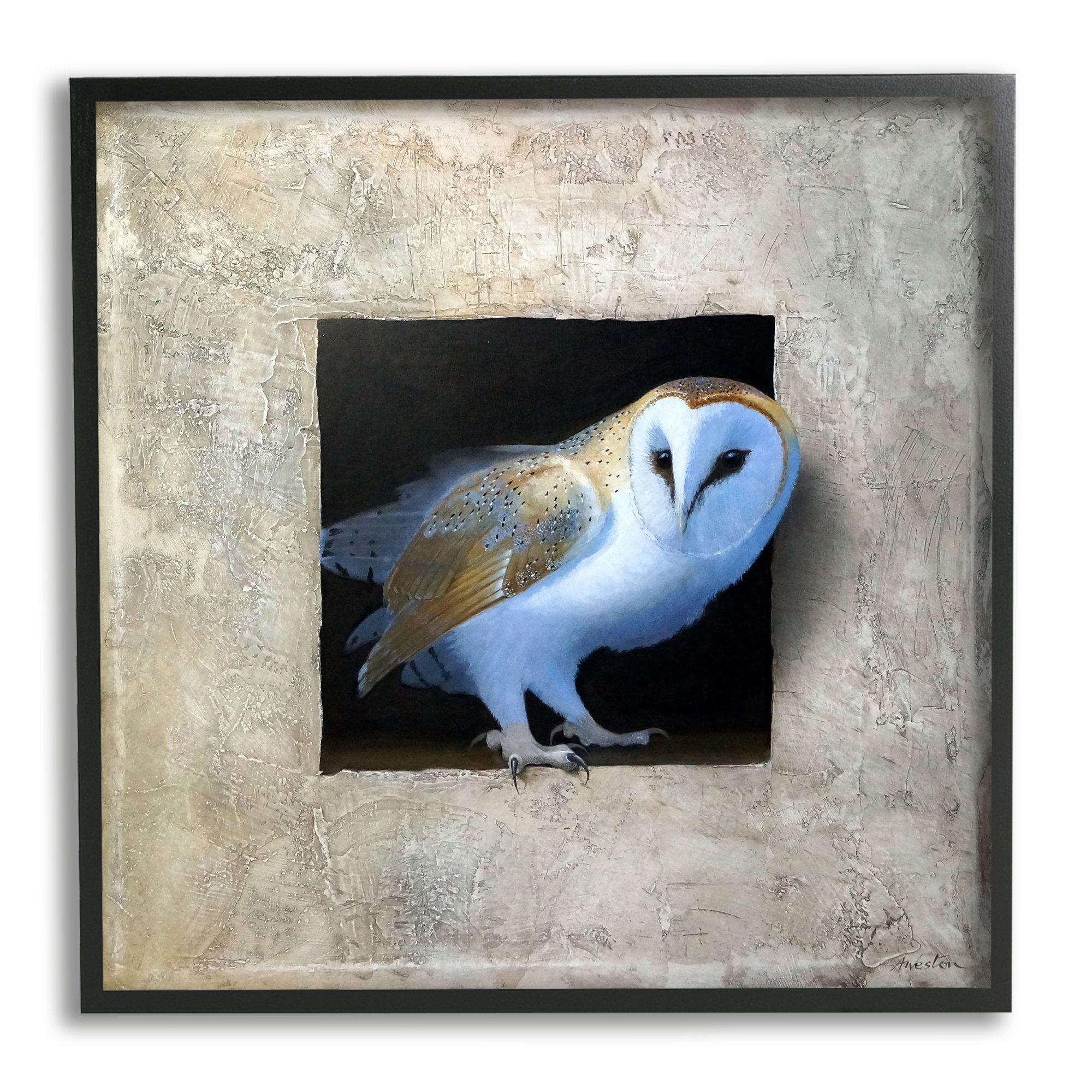 Stupell Industries " Mysterious Barn Owl Peering From Darkness Painting ...